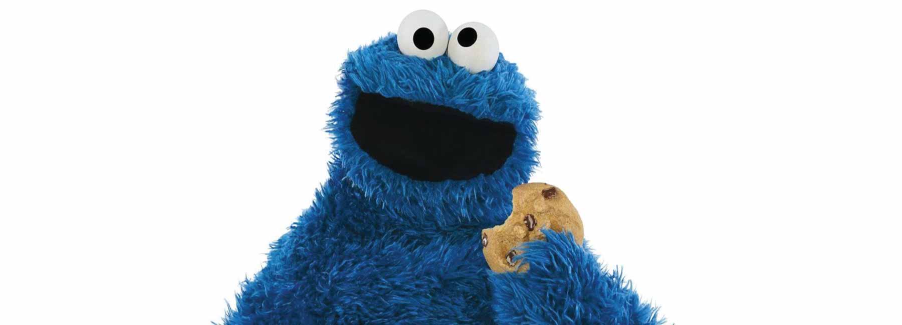 Persistent Cookies In Mvc6 